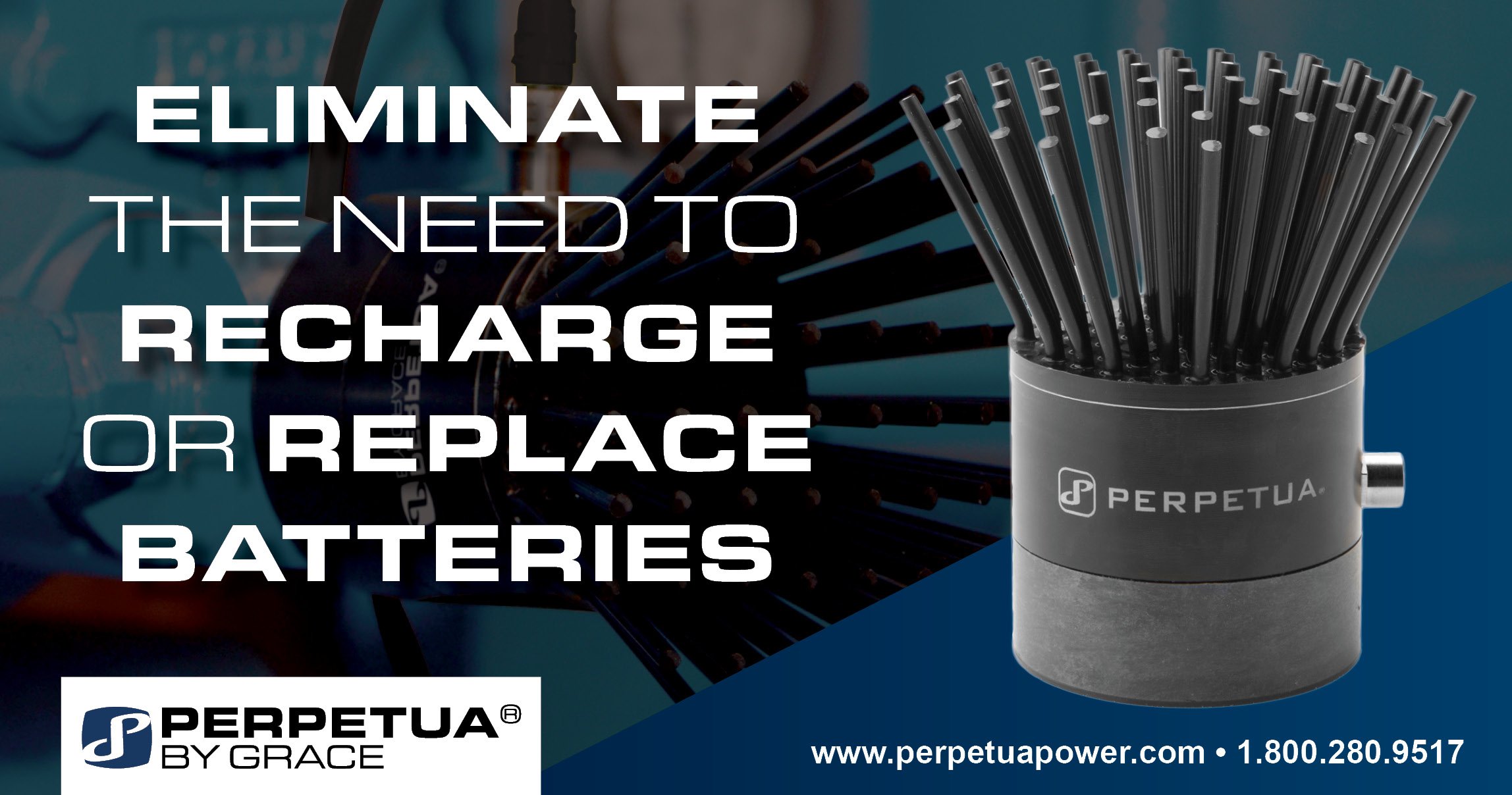 Introducing Perpetua® by Grace