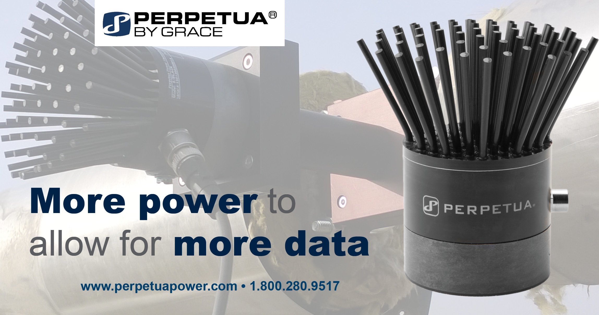 Introducing Perpetua® by Grace